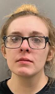 Inmate Roster - Page 19 Current Inmates Booking Date Descending ...