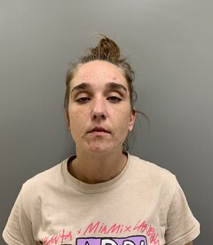 Inmate Roster - Page 1 Released Inmates Booking Date Descending ...