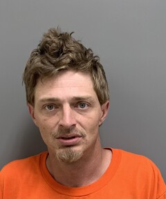 Inmate Roster - Page 7 Current Inmates Booking Date Descending - Morgan ...