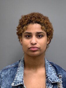 Inmate Roster - Page 2 Released Inmates Booking Date Descending ...