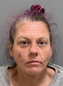 Inmate Roster - Page 4 Released Inmates Booking Date Descending ...